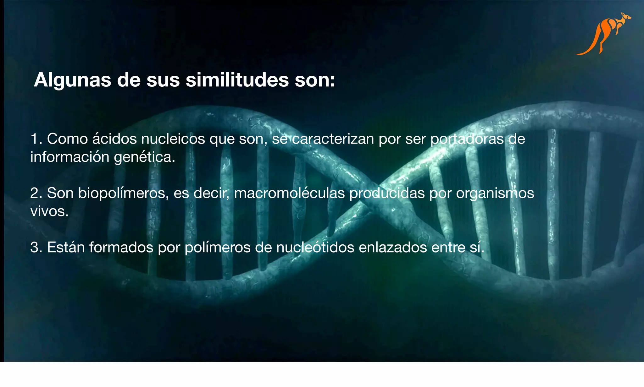 Funciones del ADN y ARN | PDF | Genetics | Science