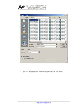 Adobe after effects | PDF