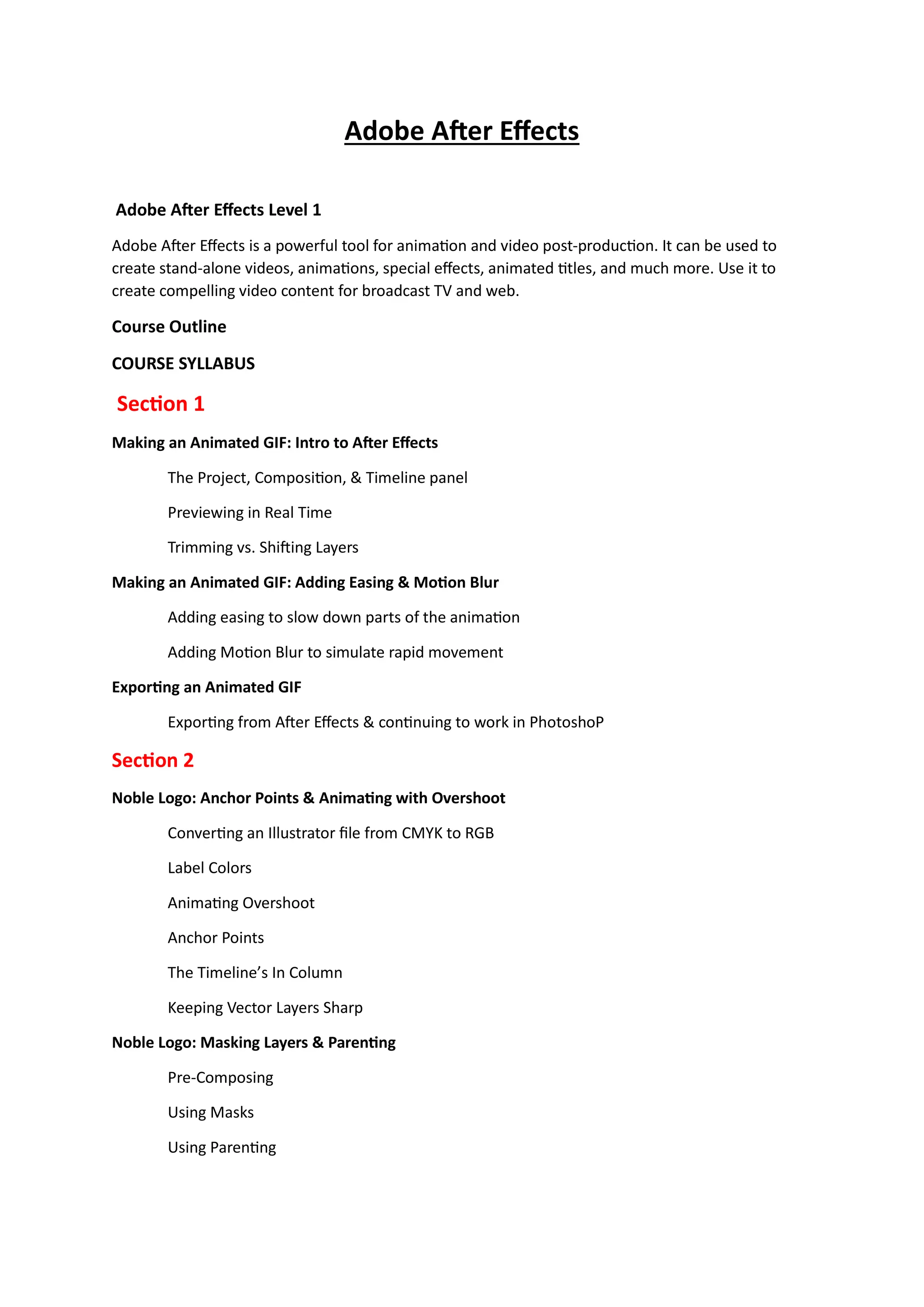 Adobe After Effects Training Institute.docx