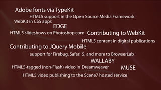 Adobe and html5 | PDF