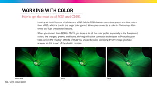 Adobe RGB and sRGB and color gamut | PDF