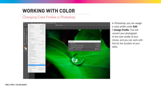 Adobe RGB and sRGB and color gamut | PDF