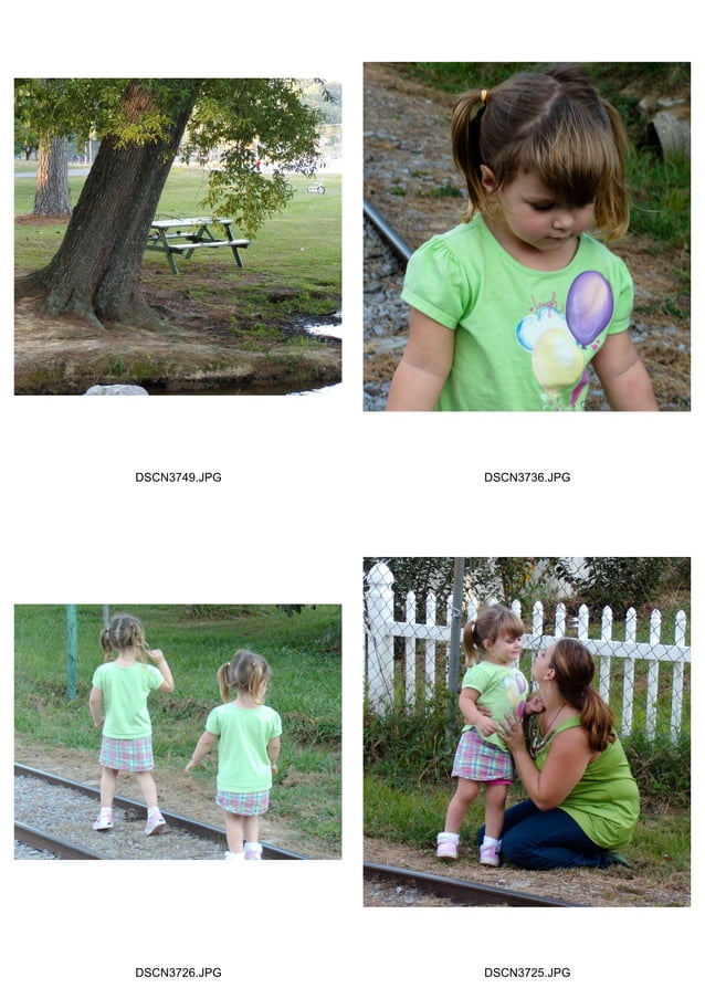 Adobe bridge exer. 3 | PDF