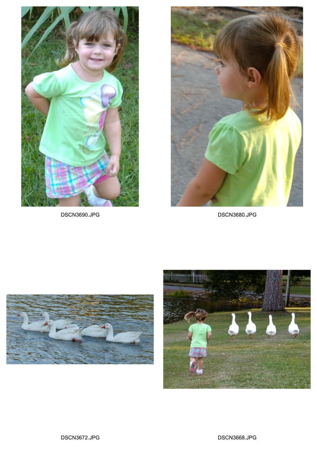 Adobe bridge exer. 3 | PDF