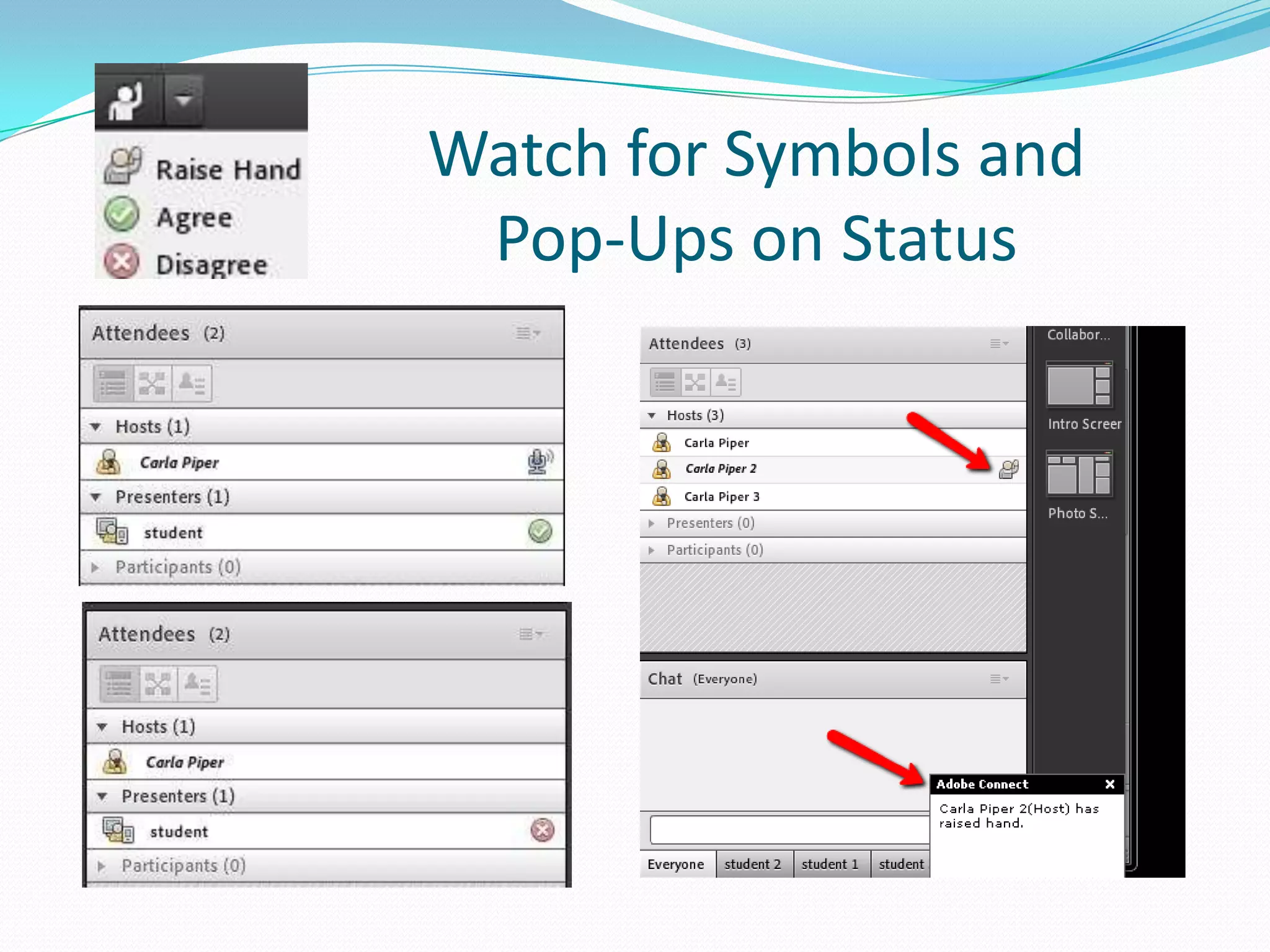 Adobe connect basics and student interactivity | PPT