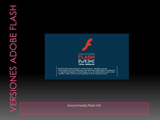 Adobe flash (historia y versiones) | PPSX