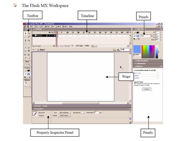 Adobe Flash Tutorial #1 | PPT