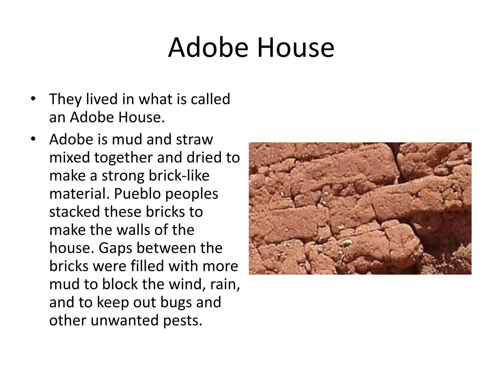 Adobe Houses Art Lesson | PPTX