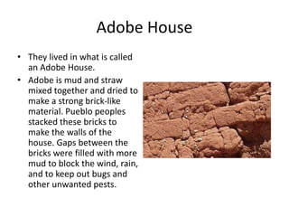 Adobe Houses Art Lesson | PPTX