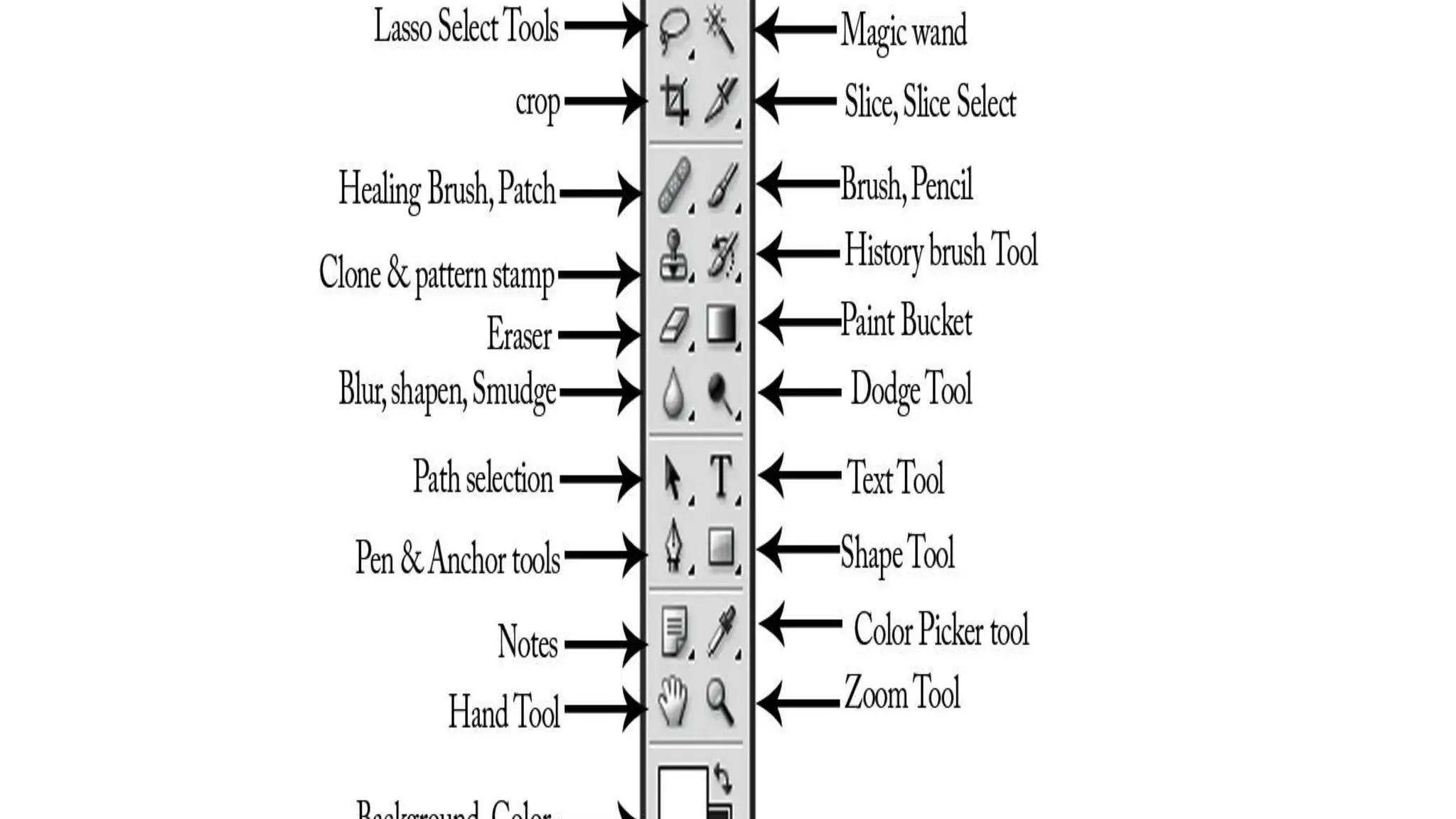 Adobe illustrator cs5 full tutorials | PPTX