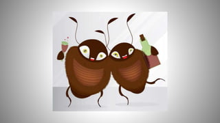 Adobe illustrator samples | PPSX