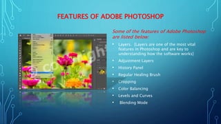 Adobe Photoshop.pptx