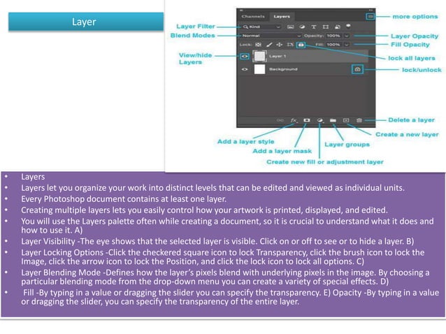 Adobe PhotoshopBeaeaeaeaeaendmfnfnclg.pptx