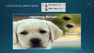 Adobe photoshop cs5 Interface | PPT