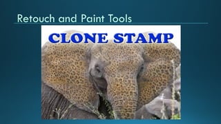 Adobe photoshop cs5 Interface | PPT