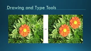 Adobe photoshop cs5 Interface | PPT | Photo Editing Software | Computer ...