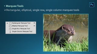 Adobe photoshop cs5 Interface | PPT