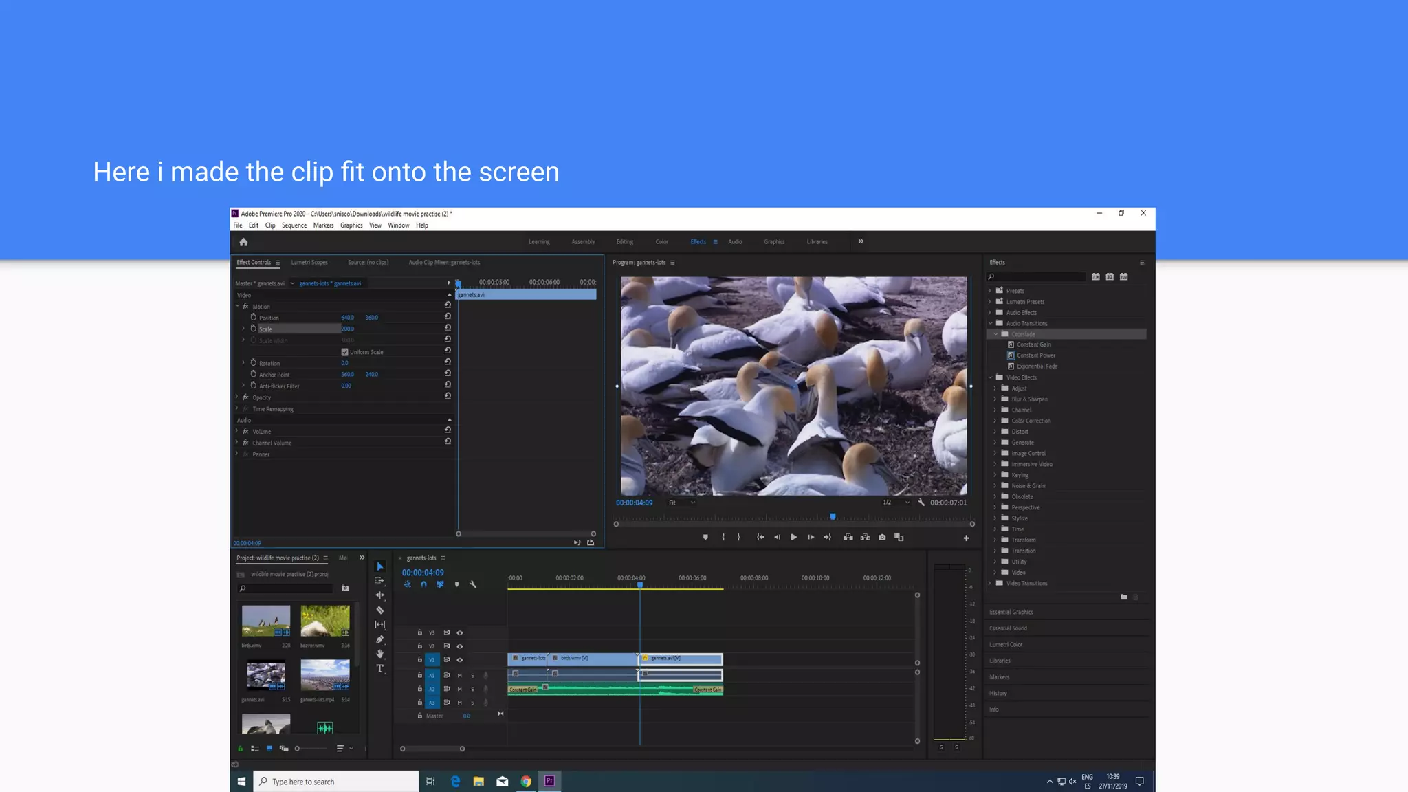Adobe Premiere Pro Pdf
