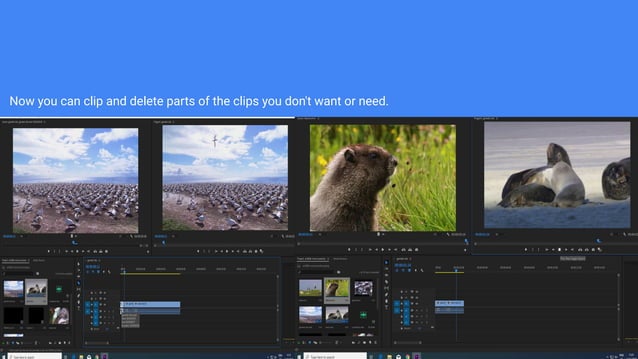 Adobe premiere pro | PPT