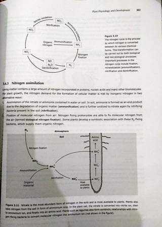 Adobe Scan 11-Apr-2022.pdf