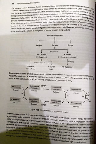 Adobe Scan 11-Apr-2022.pdf