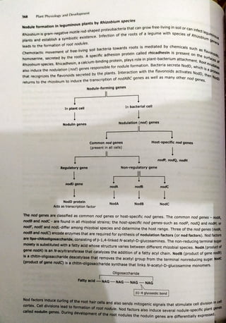 Adobe Scan 11-Apr-2022.pdf