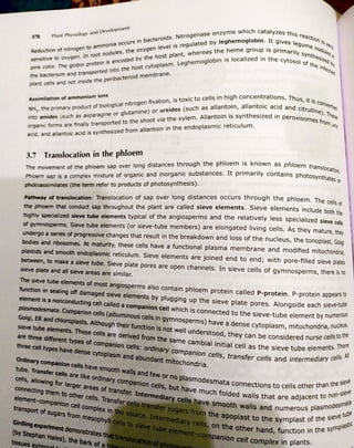 Adobe Scan 11-Apr-2022.pdf