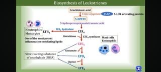 Eicosanoids lipid biochemistry, eicosanoids definition | PDF ...