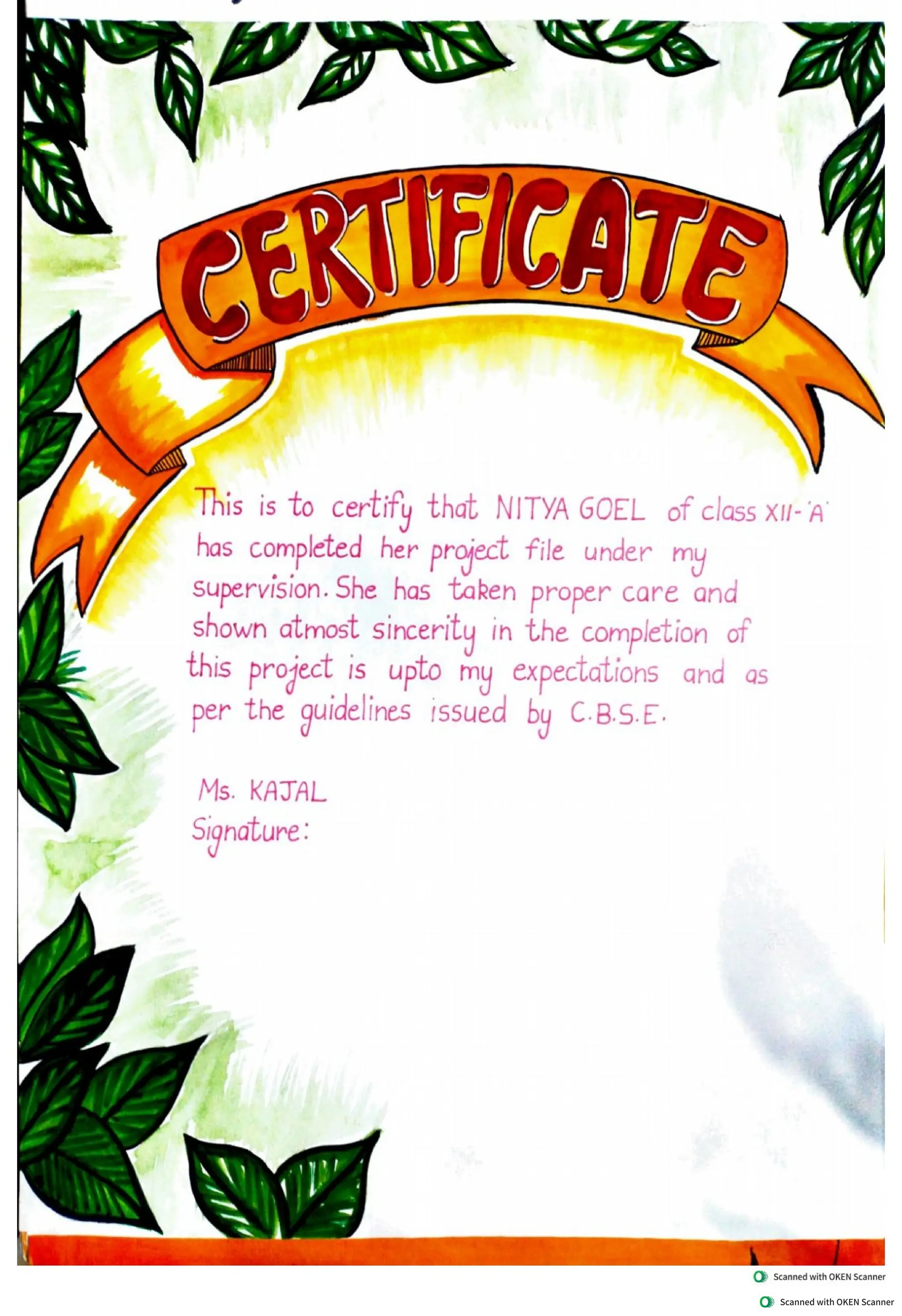 Fine arts Practical File class 12 CBSE 2023-24 | PDF