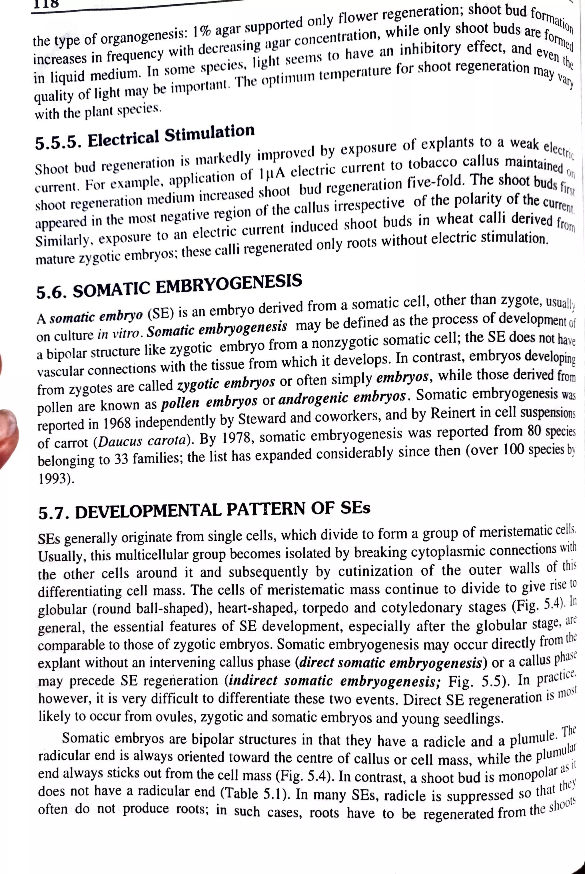 Somatic embryogenies | PDF