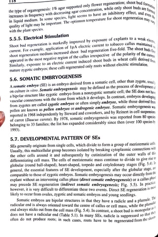 Somatic embryogenies | PDF