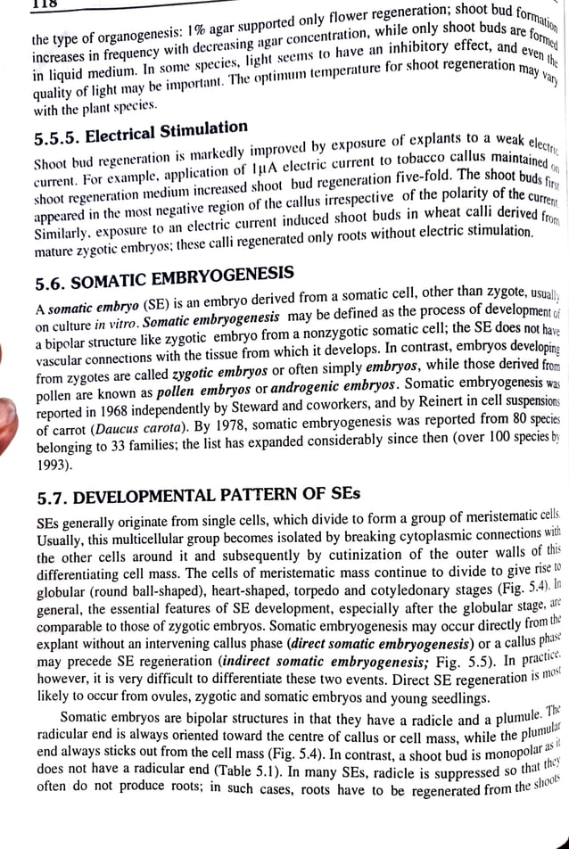 Somatic embryogenies | PDF
