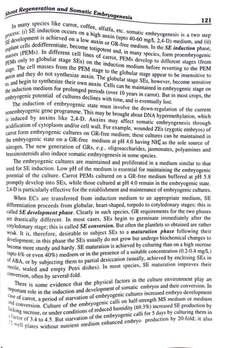 Somatic embryogenies | PDF