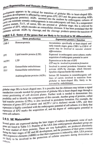 Somatic embryogenies | PDF