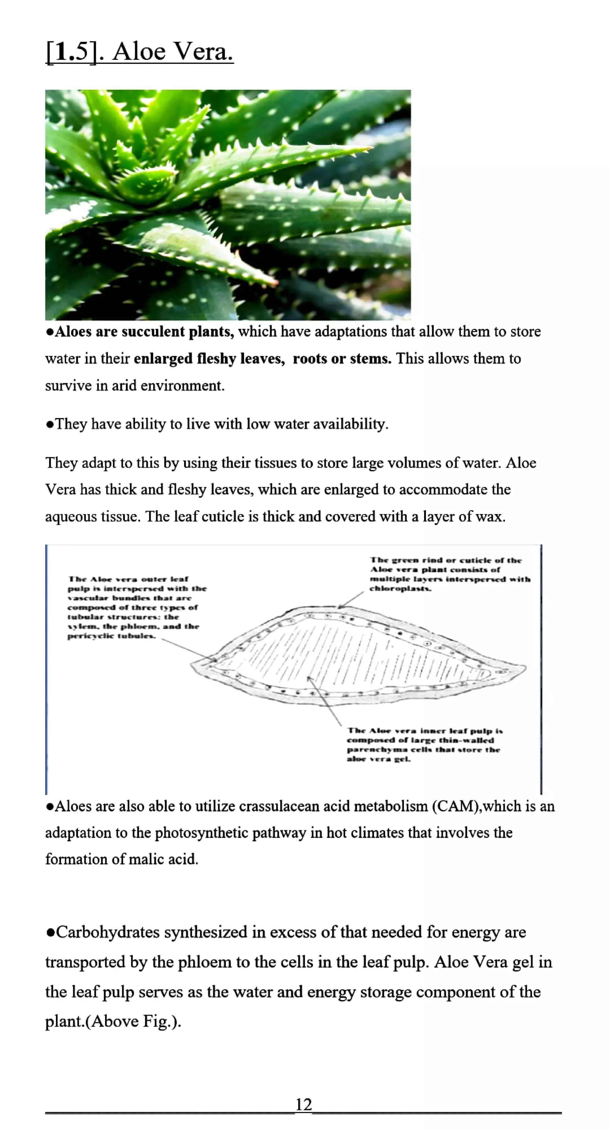 BIOLOGY INVESTIGATORY PROJECT ON ADAPTATION IN ANIMALS AND PLANTS | PDF