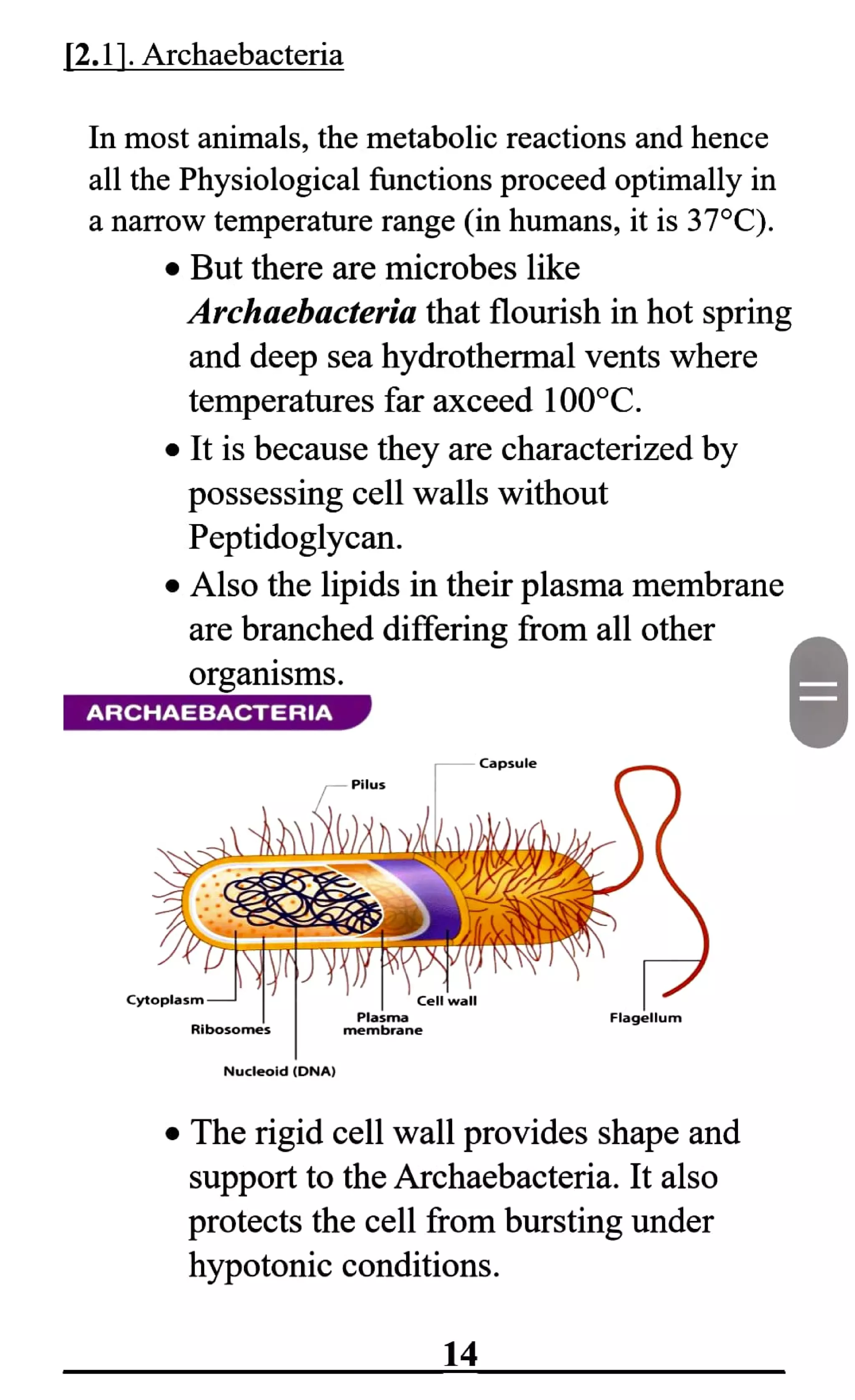 BIOLOGY INVESTIGATORY PROJECT ON ADAPTATION IN ANIMALS AND PLANTS | PDF