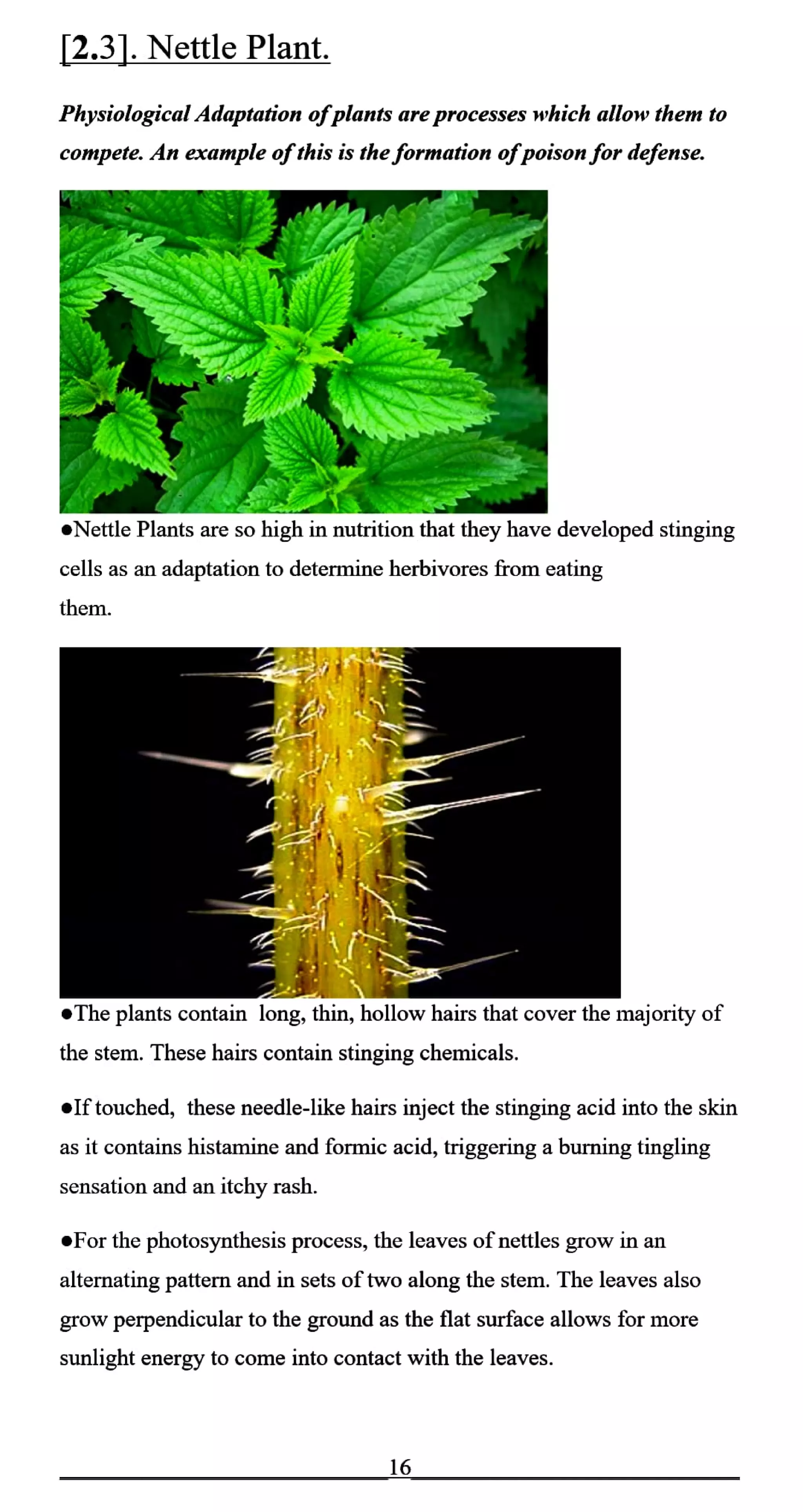BIOLOGY INVESTIGATORY PROJECT ON ADAPTATION IN ANIMALS AND PLANTS | PDF ...