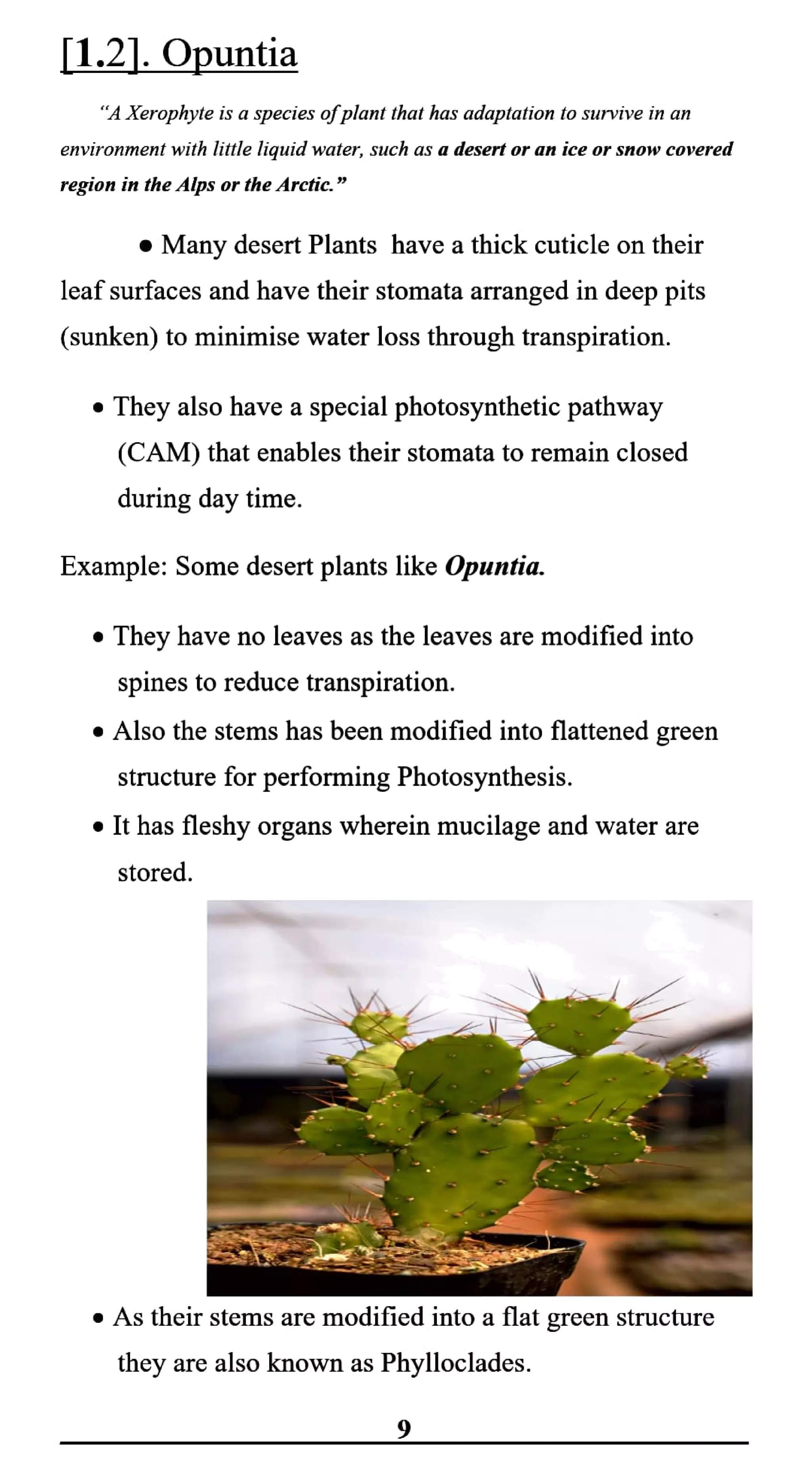 BIOLOGY INVESTIGATORY PROJECT ON ADAPTATION IN ANIMALS AND PLANTS | PDF