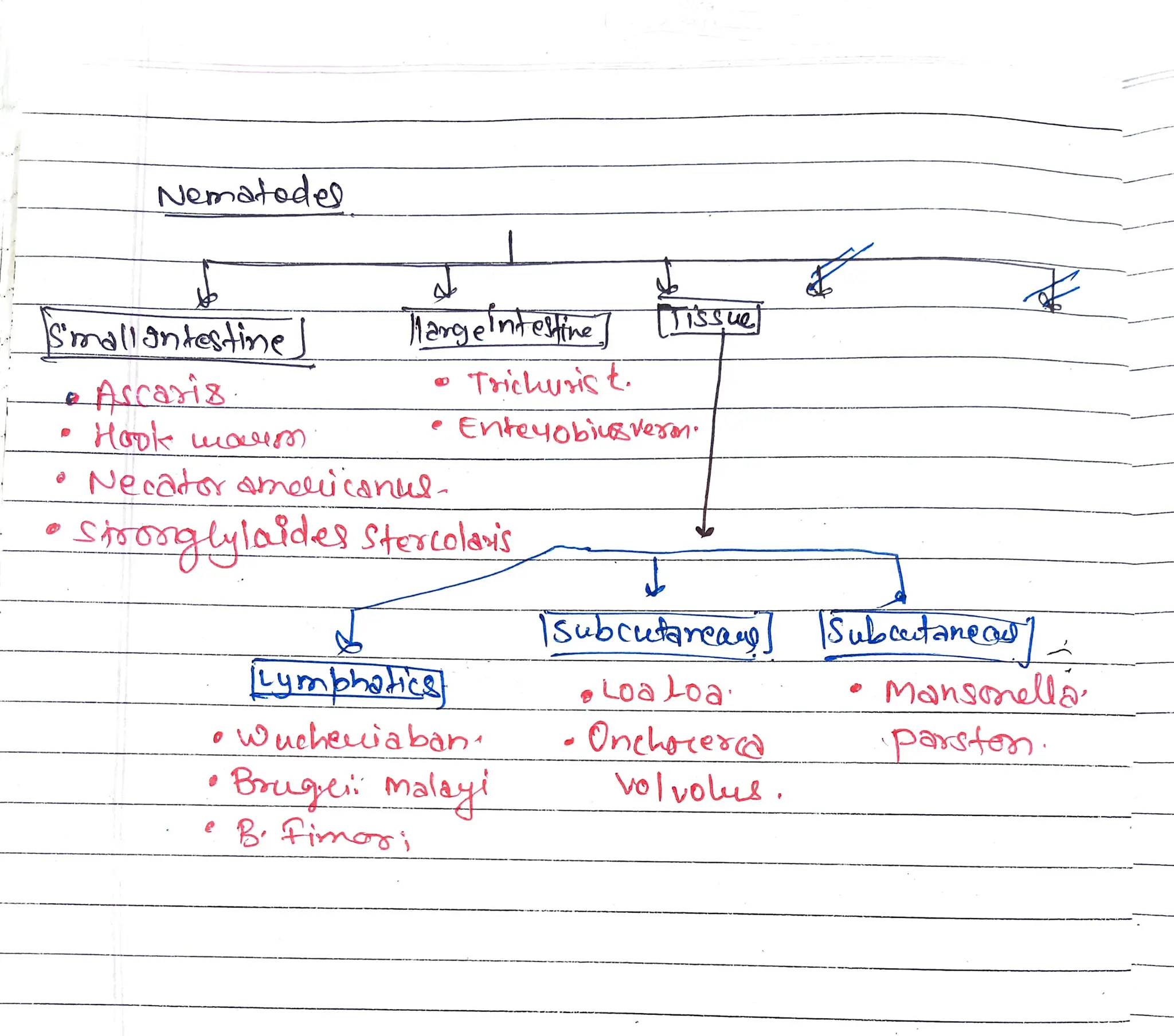 Classification of Parasite - Parasitology Lecture 1 | PDF