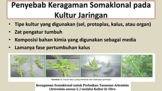 adoc.pub_keragaman-somaklonal-yushi-mardiana-sp-msi-retno-d.pdf