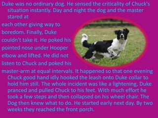 A dog named duke new class 9 ( modified version ) | PPT
