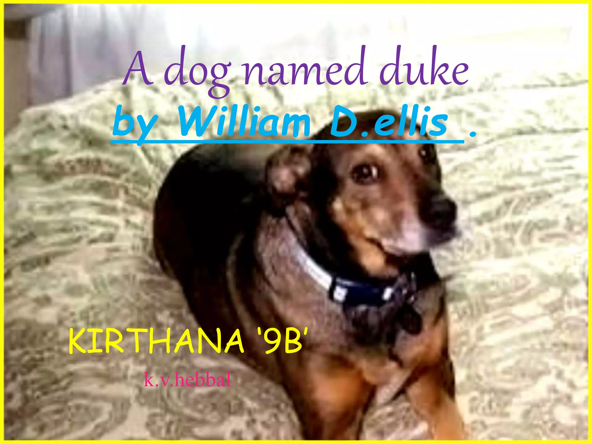 A dog name duke... | PPTX