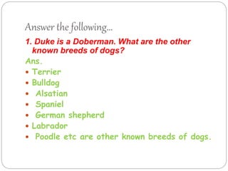 A dog name duke... | PPTX