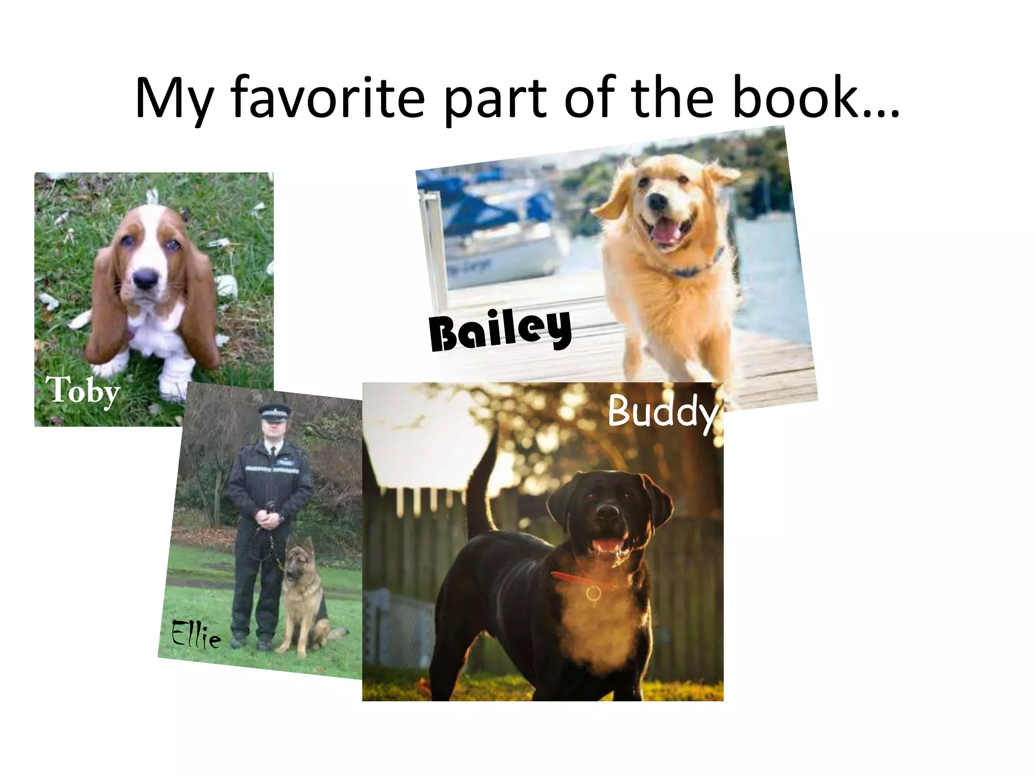 A dogs purpose | PPTX