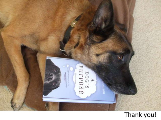 A dogs purpose | PPTX