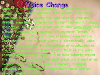Adolescence | PPT