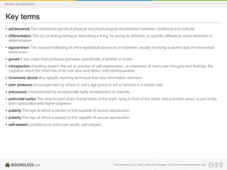 Lifespan Development: Adolescence Powerpoint | PPTX
