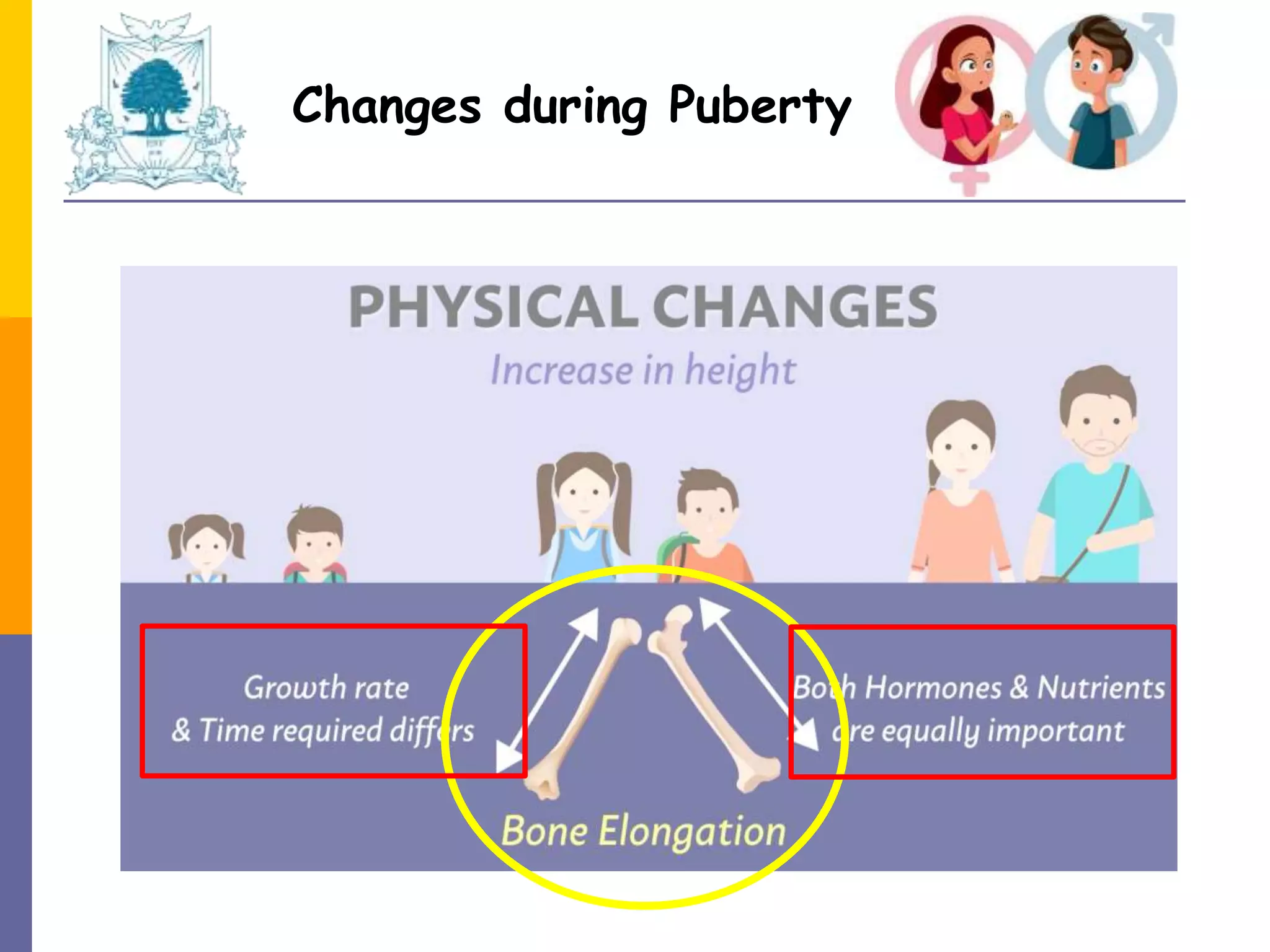 Adolescence and Puberty.pptx