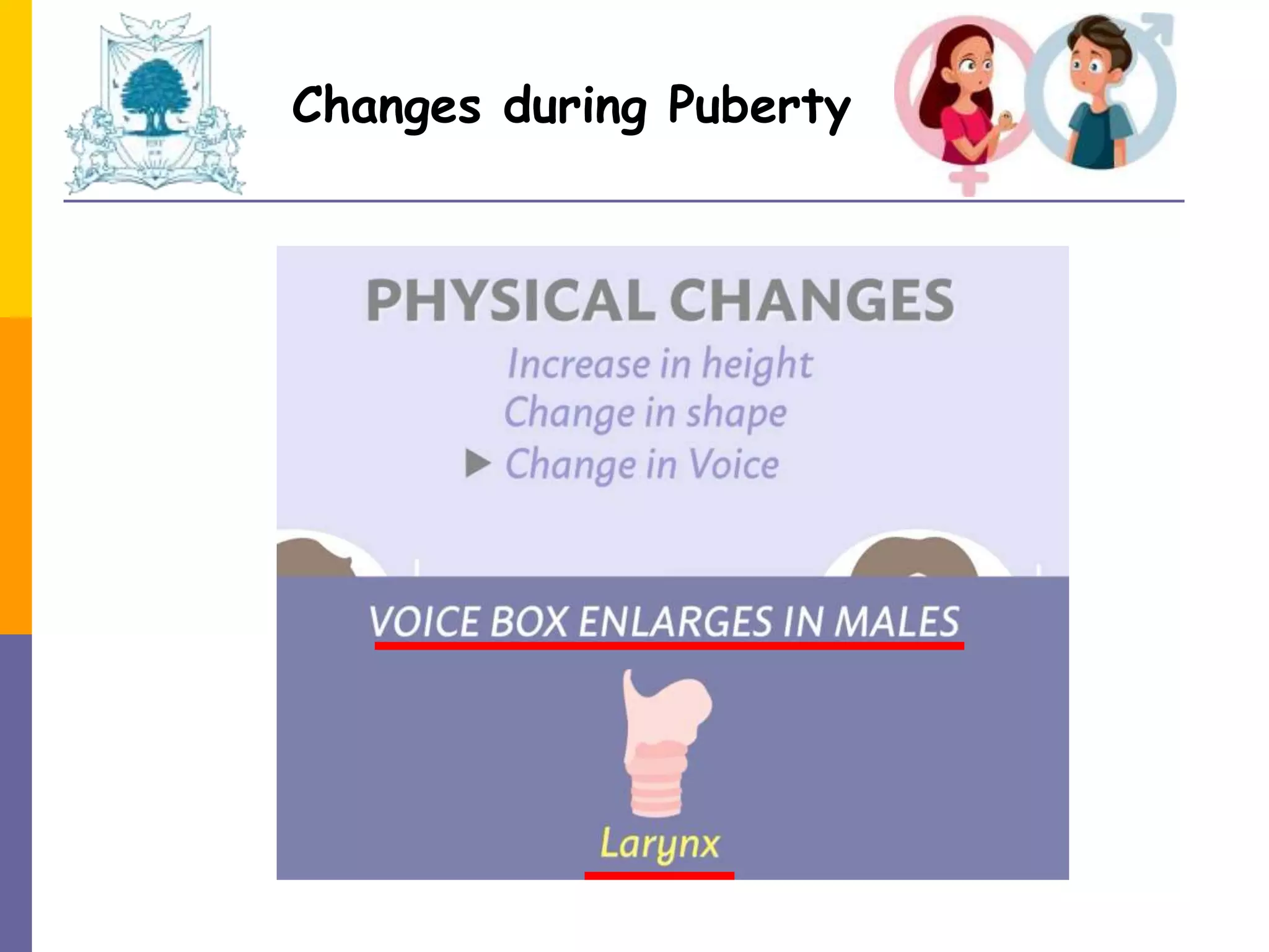 Adolescence and Puberty.pptx