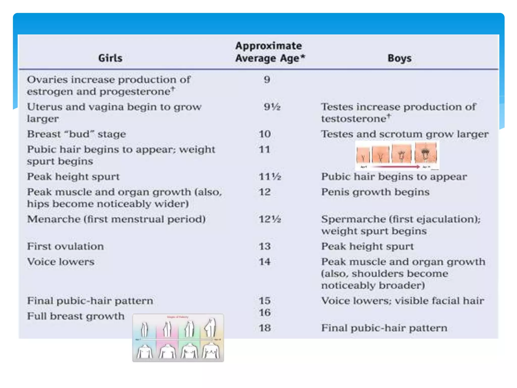 Adolescence Characteristics | PPTX